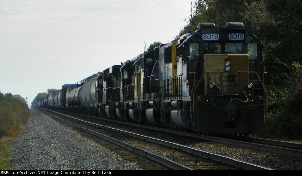 CSX 8019